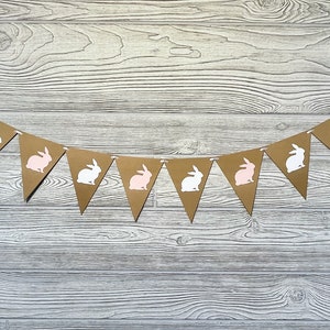 Some Bunny is on the Way Baby Shower Decorations, Boy or Girl Bunny ...