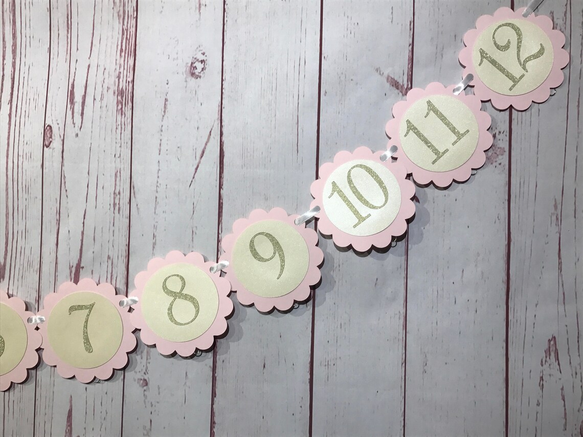 Monthly Photo Banner First Year Banner Milestone Banner - Etsy