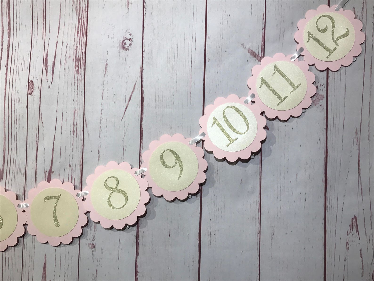 Monthly Photo Banner First Year Banner Milestone Banner - Etsy