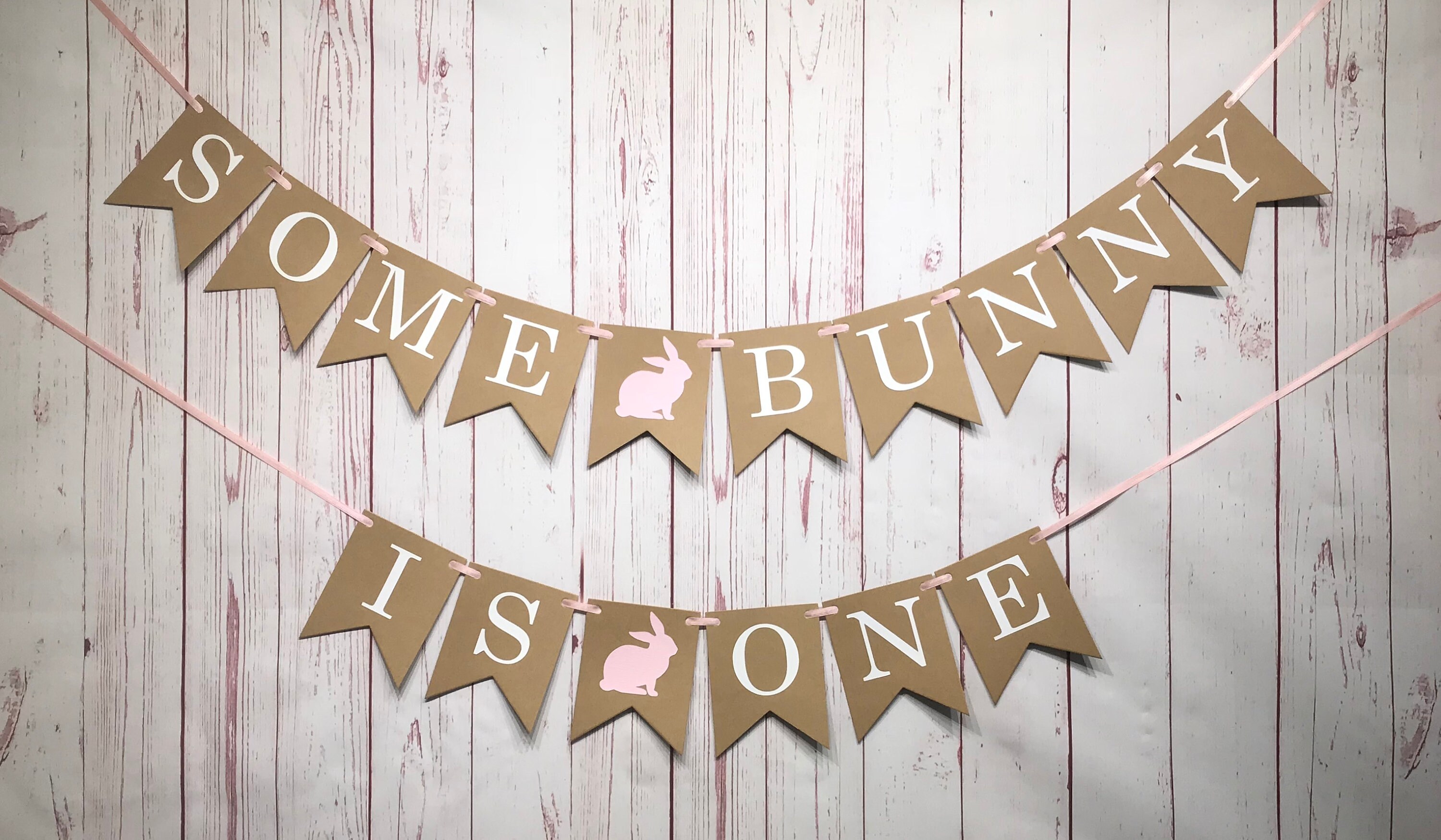 Some Bunny Is Turning One Party Package Bunny 1st Birthday | Etsy