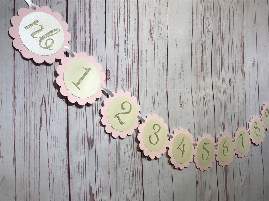 Monthly Photo Banner, First Year Banner, Milestone Banner, Photo Banner ...