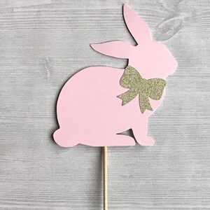 Some Bunny is on the Way Baby Shower Decorations, Boy or Girl Bunny ...