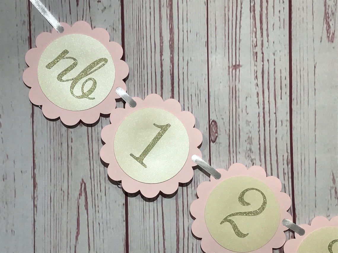 Monthly Photo Banner First Year Banner Milestone Banner - Etsy