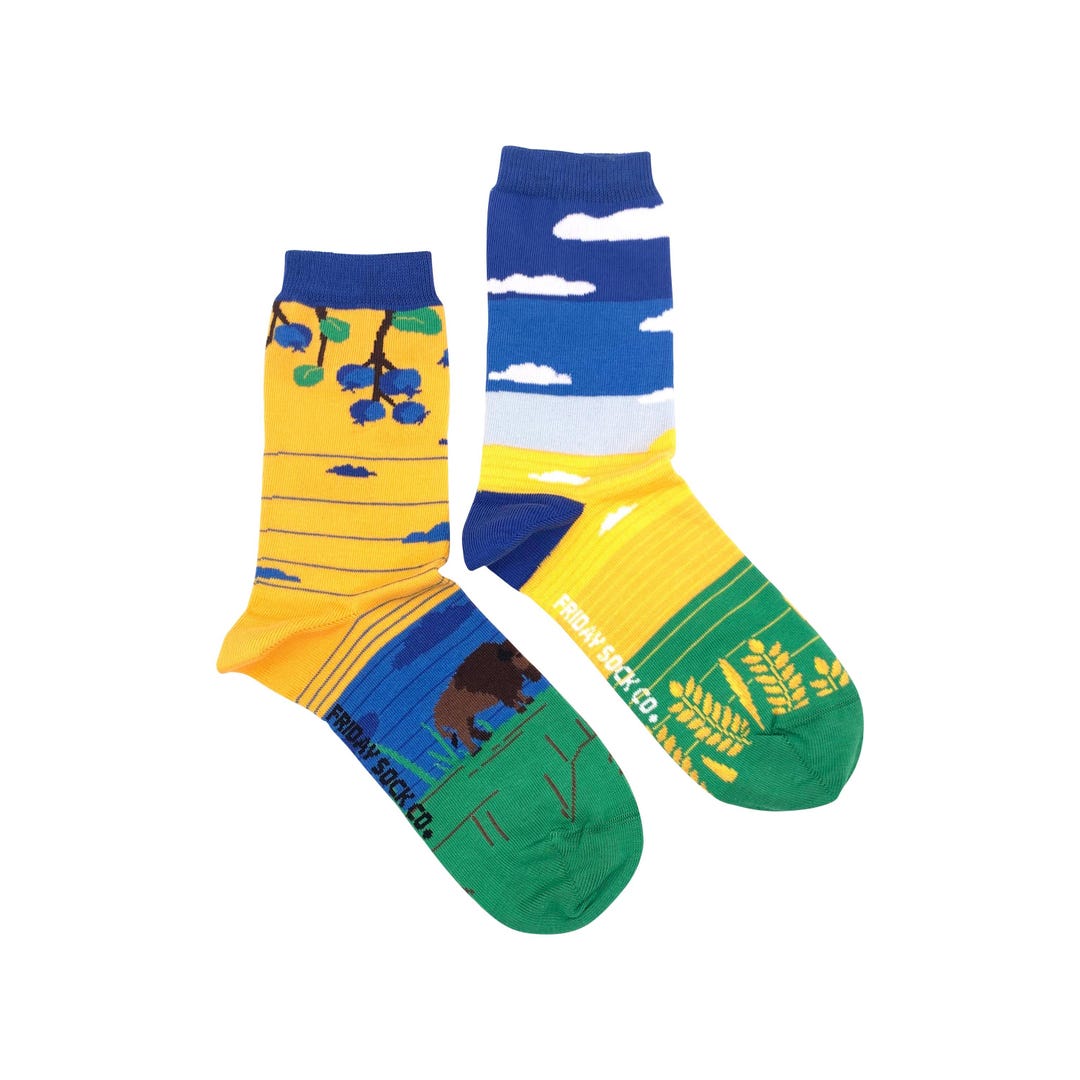 Women's Socks | Prairies Canadian Landscape Socks | Friday Sock Co ...