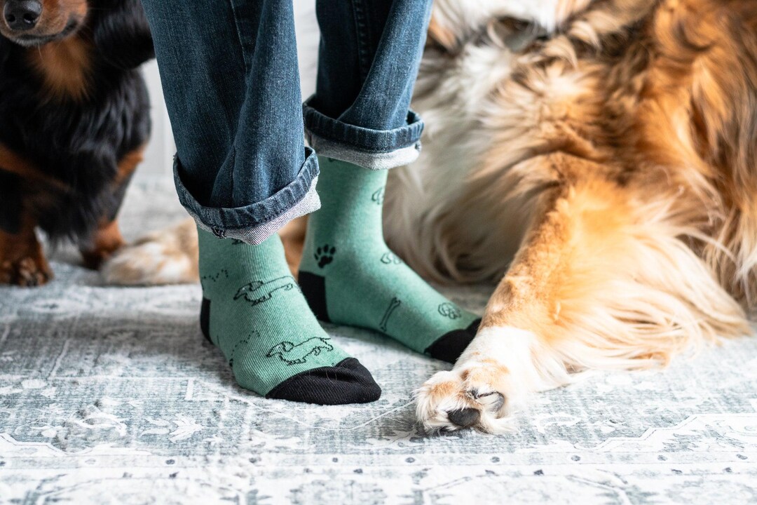 Kid's Socks | Dog | Friday Sock Co. Mismatched Socks | Organic Cotton ...