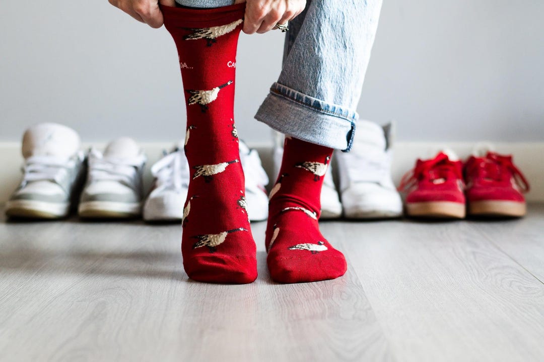 Women’s Socks | Canada Goose | Friday Sock Co Mismatched Socks | Unique ...