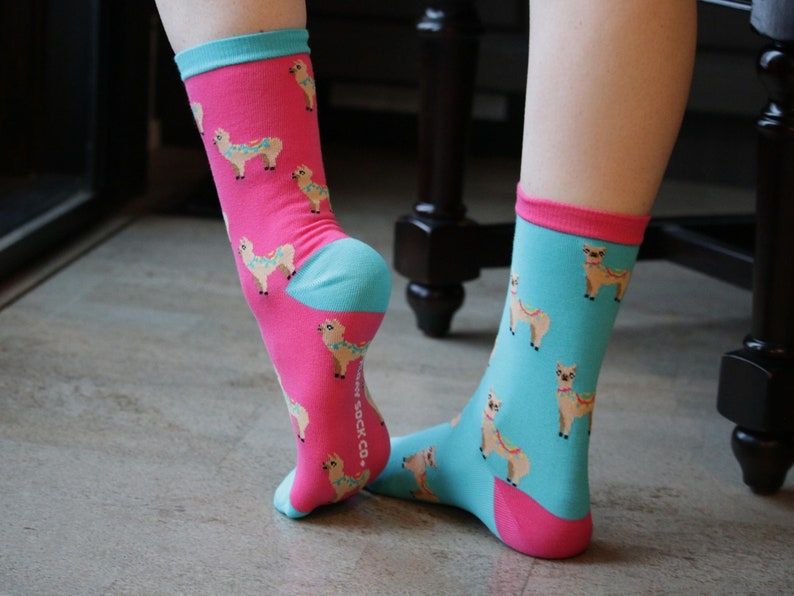 Fiesta Llama Socks Women's Socks Friday Sock Co | Etsy