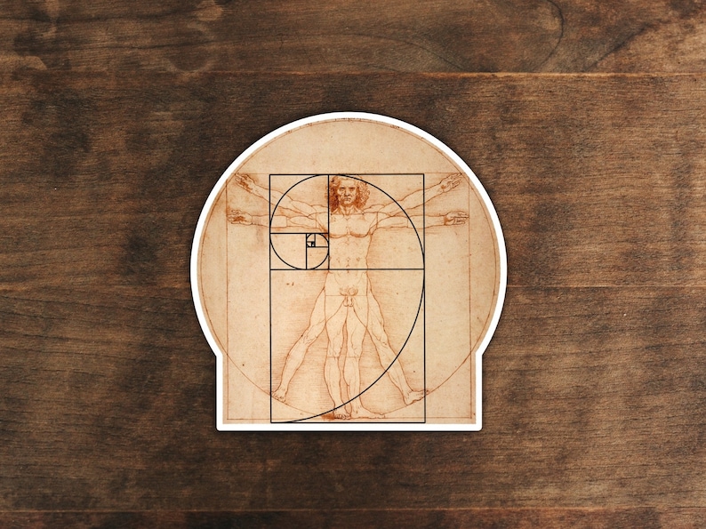Vitruvian Man Golden Ratio Sticker Leonardo Da Vinci Sticker - Etsy