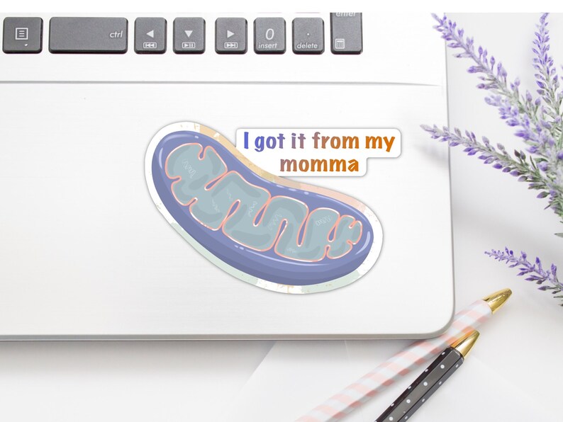 Mitochondria Powerhouse Sticker I Got It From My Momma - Etsy