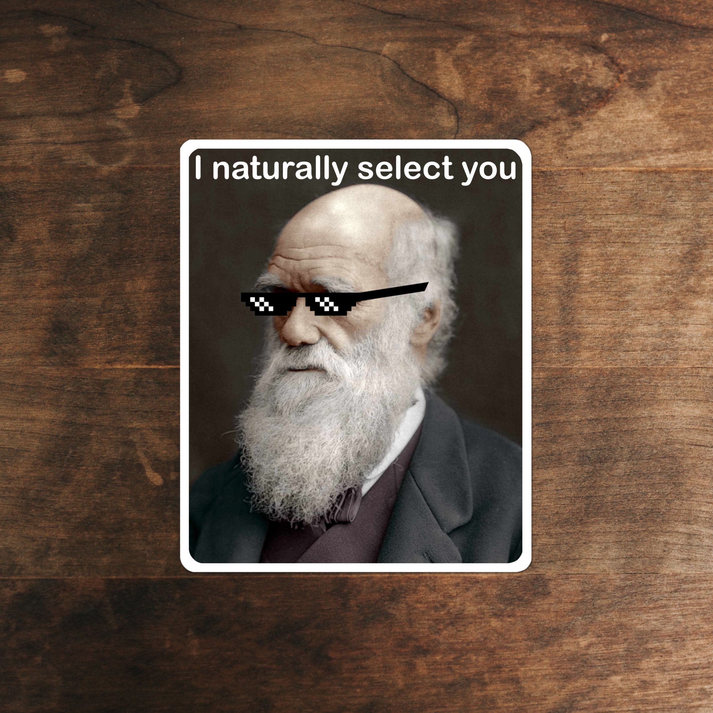 Darwins Natural Selection Sticker I Naturally Choose You - Etsy