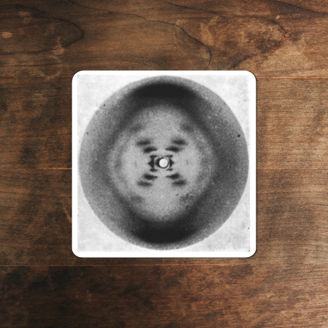 Photo 51 DNA Sticker - Etsy