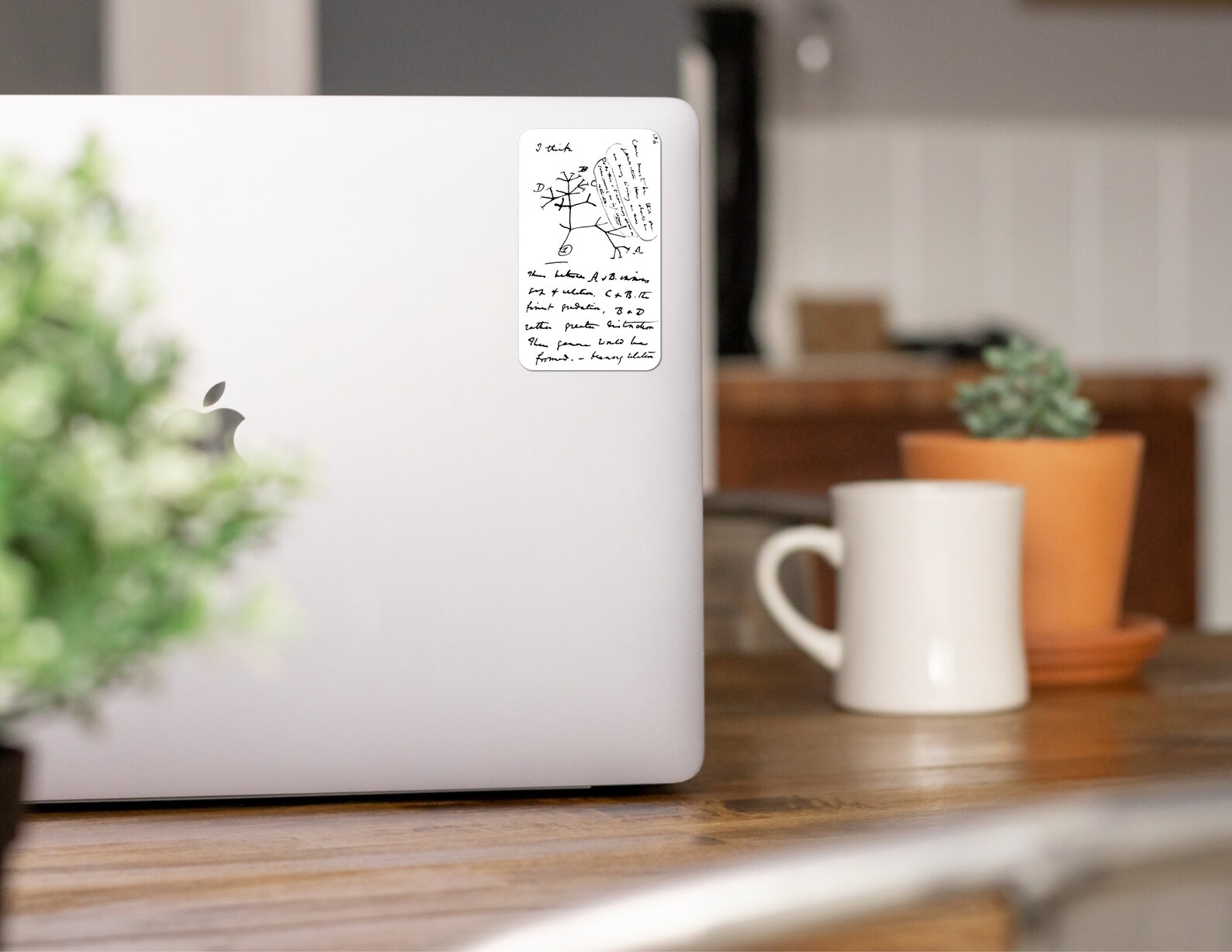 Darwins Tree of Life Sticker Science Sticker Philosophy - Etsy