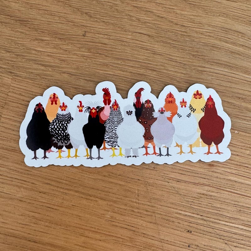 Chicken Magnet A - Etsy