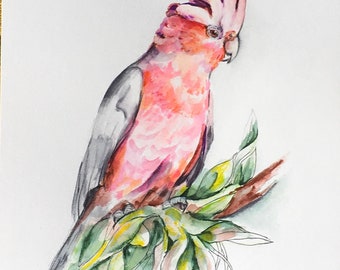 Galah art | Etsy