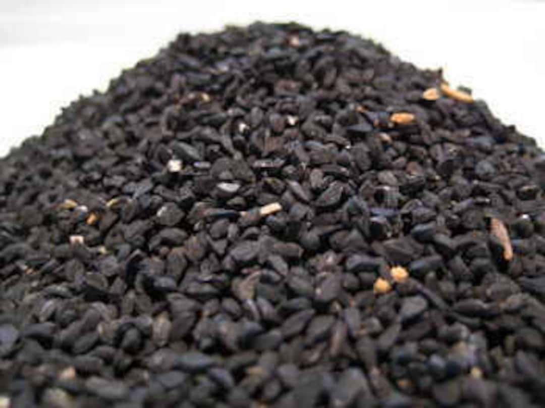 Nigella Seed AKA Kalonji, Black Seed, Black Cumin, Black Caraway ...