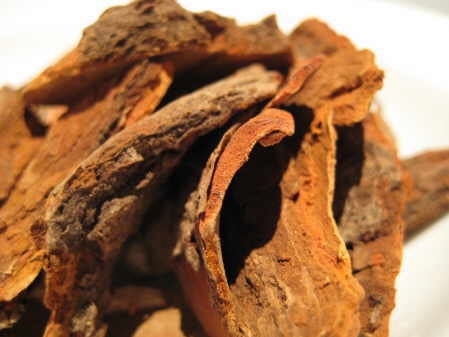 Sassafras Whole Root Bark – Sassafras varifolium - 50 grams