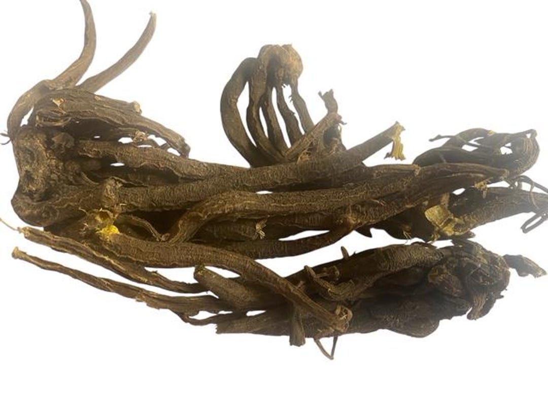 White Himalayan Lily Root (cut) – Ksheer Kakoli Root -lilium ...