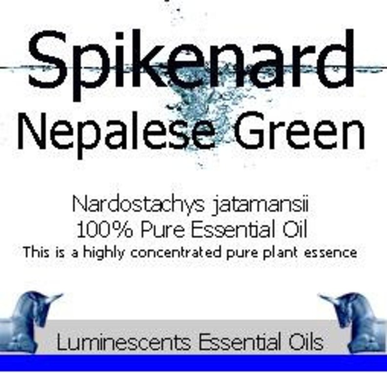 Spikenard Nepalese Green Essential Oil - Nardostachys Jatamansii - 100% ...
