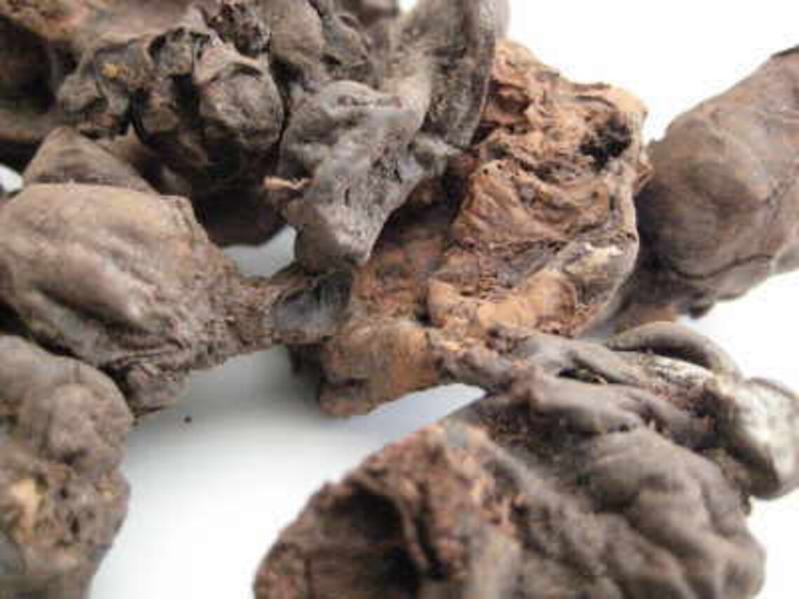 Mochras Gum Silk Cotton Tree Resin Bombax Ceiba 25 Grams - Etsy UK