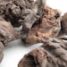 Mochras Gum – Silk Cotton Tree Resin – Bombax Ceiba - 25 Grams - Etsy UK