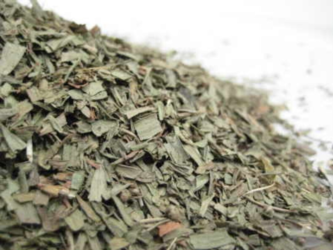 French Tarragon Cut Leaf Artemisia Dracunculus 50 Grams - Etsy