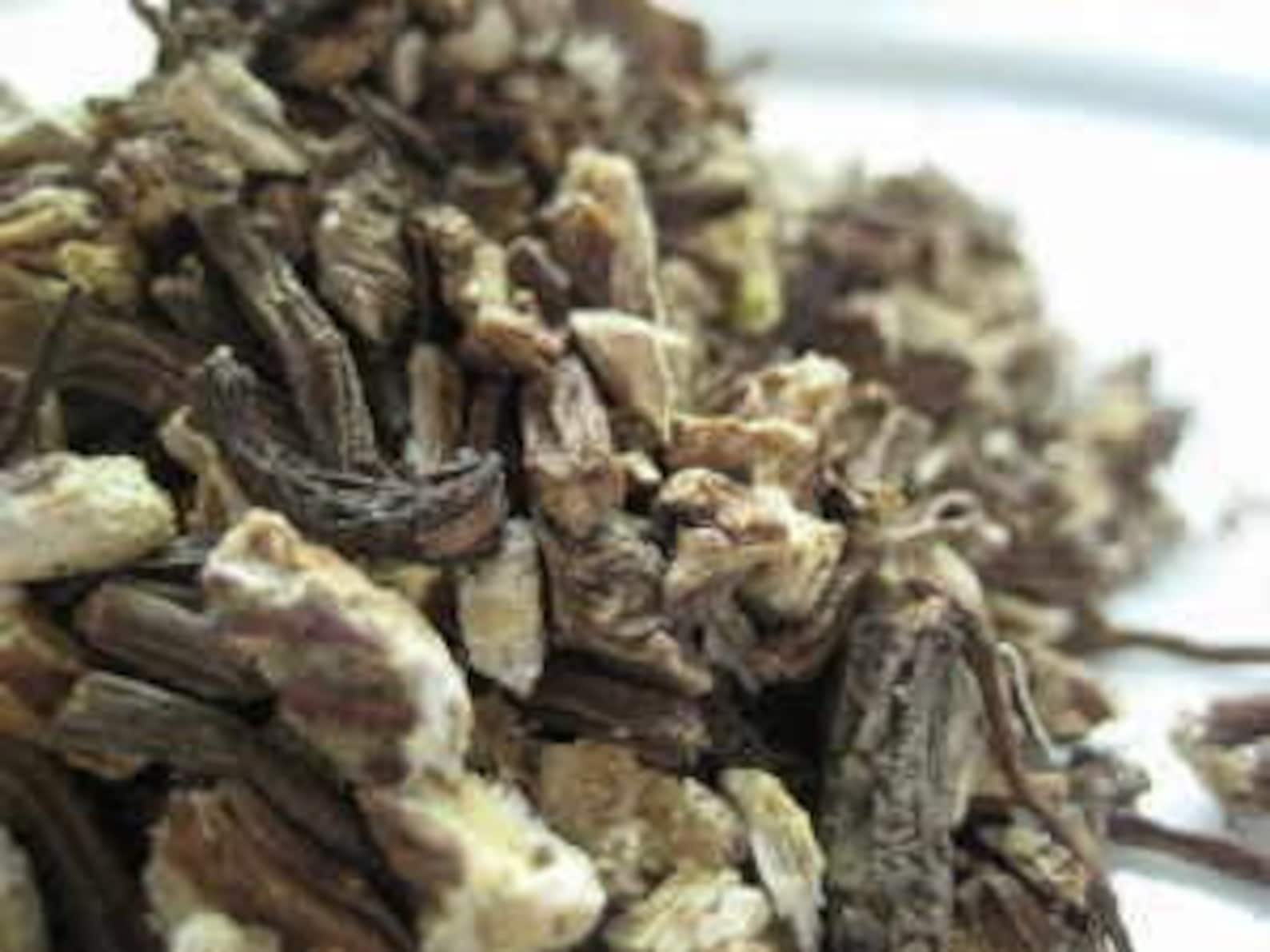 Angelica Root Tea cut and Dried Angelica Archangelica 100 Grams - Etsy UK