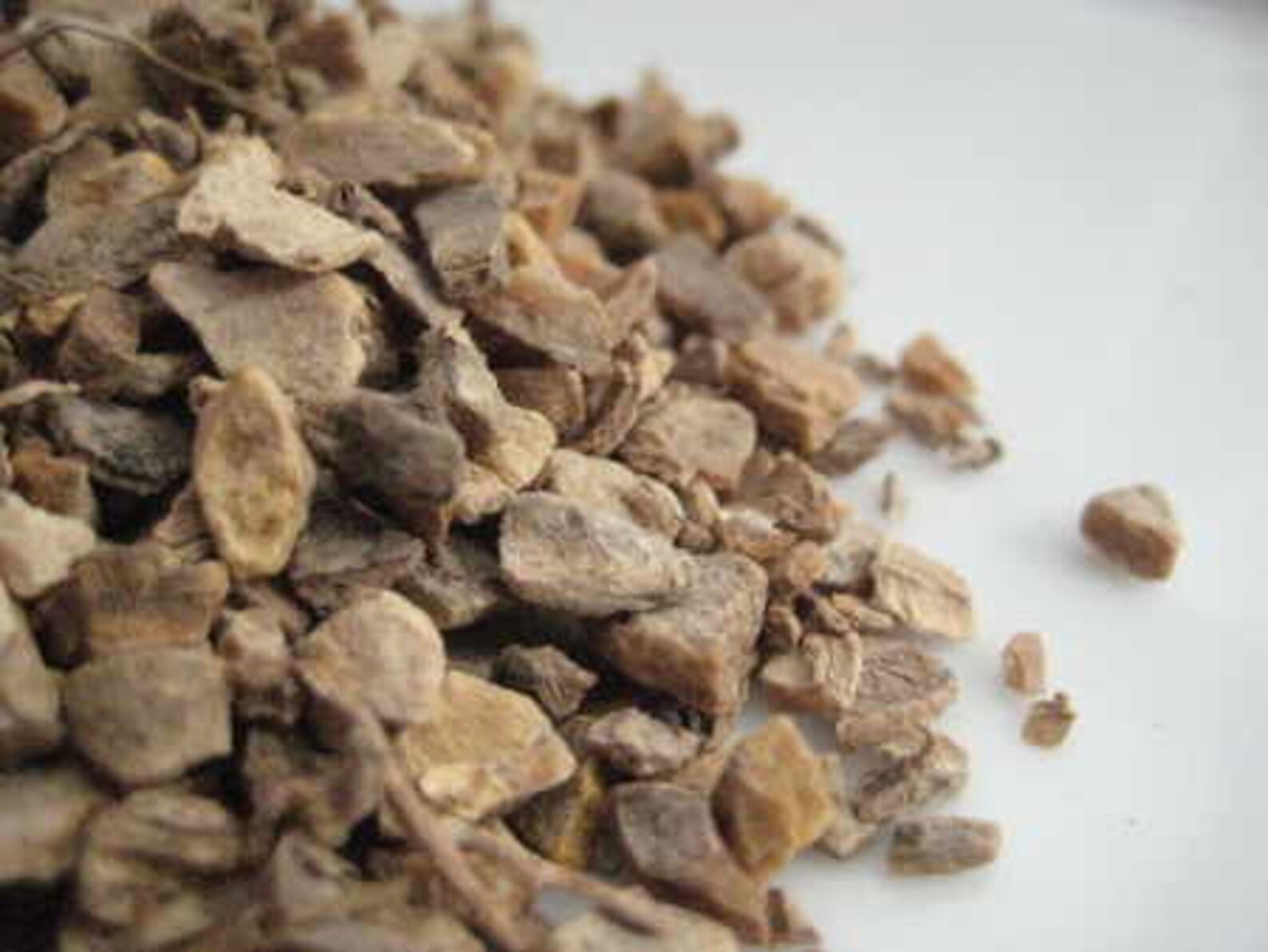 Zedoary Root cut Curcuma Zedoaria Roscoe 100 Grams - Etsy UK