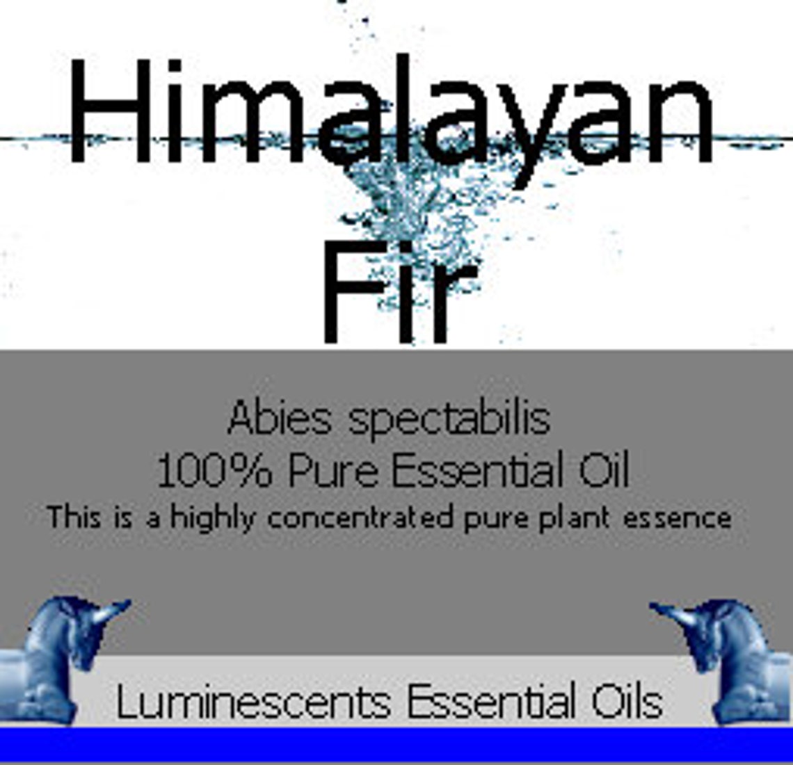 Himalayan Fir Essential Oil Abies Spectabilis-100% Pure 10ml - Etsy UK