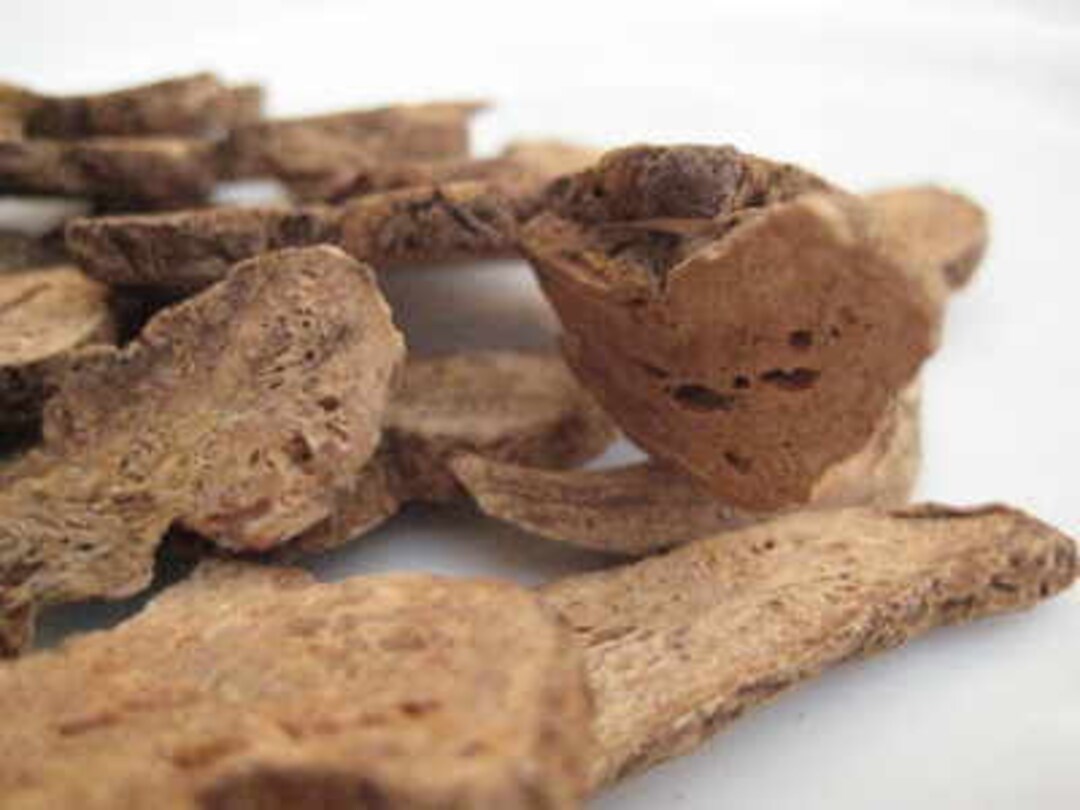Bai Zhu Root - Atractylodes Macrocephala - -tea - 50 Grams - Etsy