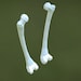 Femur Bone Printable DIY Pdf Template - Etsy