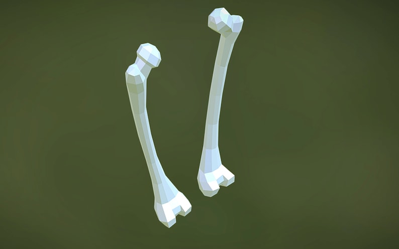 Femur Bone Printable DIY Pdf Template - Etsy Hong Kong