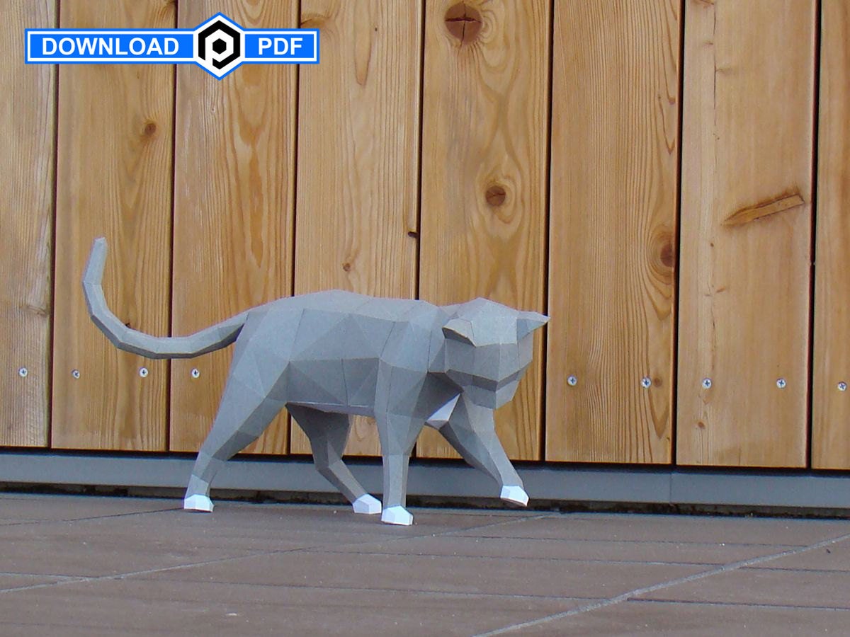 Curious Cat papercraft model Download and make your own home | Etsy