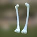Femur Bone Printable DIY Pdf Template - Etsy