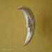 Moon Face Papercraft, Download and Make Paper Moon, Printable DIY Pdf ...