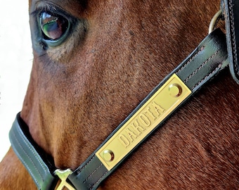 Leather Horse Halter With 4.5 Relief-engraved Brass Nameplate - Etsy