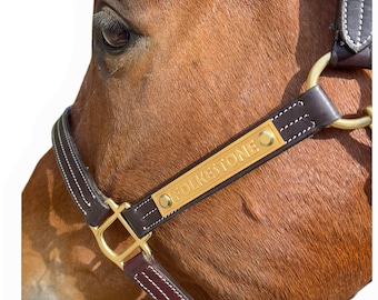 Leather Horse Halter With 4.5 Relief-engraved Brass Nameplate - Etsy