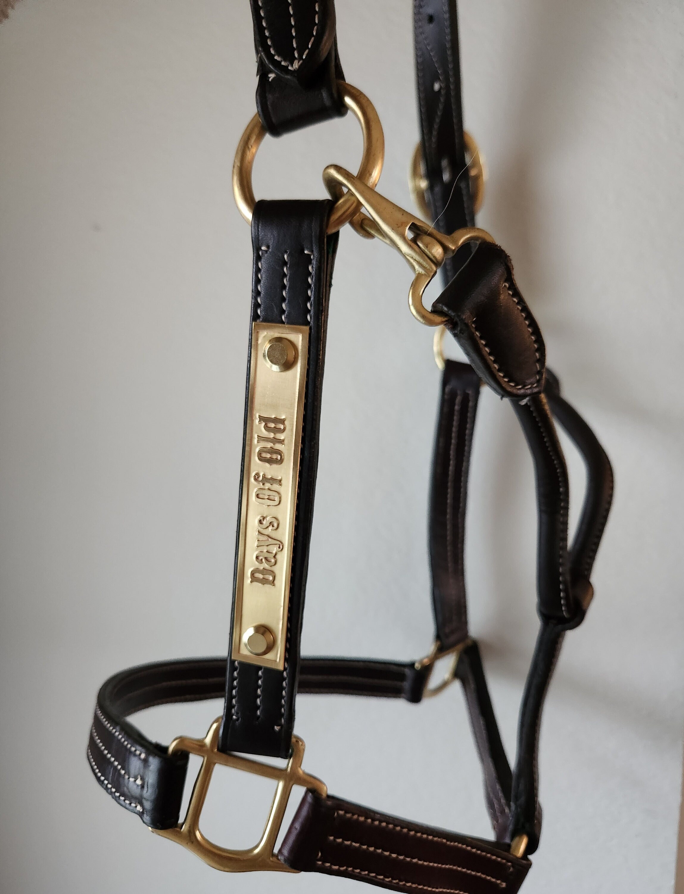 Brass Halter Nameplate, Relief-engraved, 4.5" - Etsy