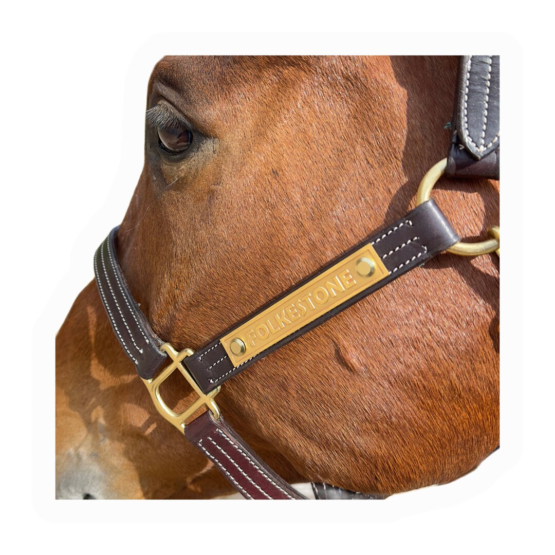 Brass Halter Nameplate, Relief-engraved, 4.5" - Etsy