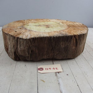Solid Slice of the End of a Driftwood Stump Cut on One Side and Raw ...