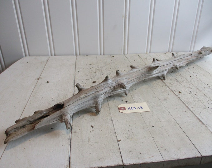 Long Thin Cedar Tree Piece Natural Driftwood Very Cool Piece Great Limb ...