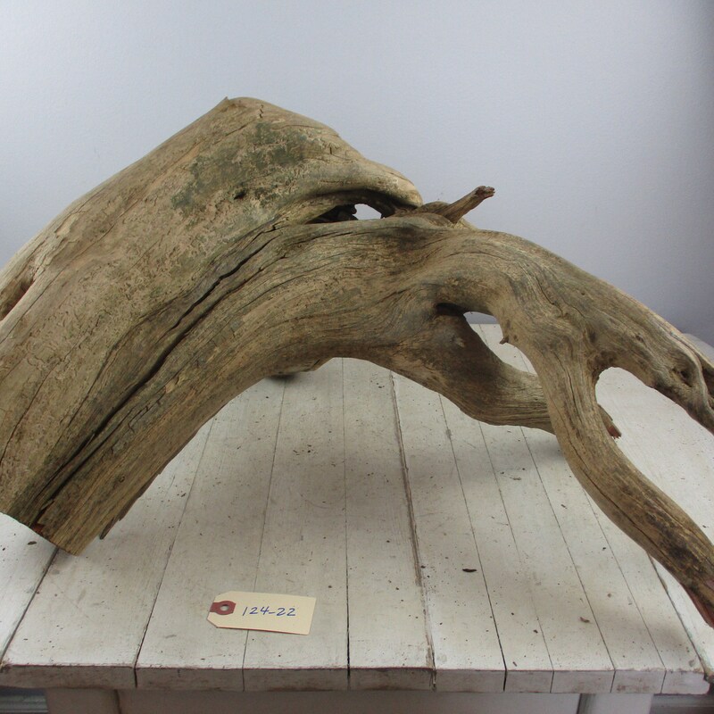 Large Driftwood - Etsy