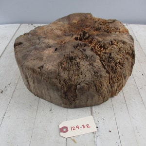 Solid Slice of the End of a Driftwood Stump Cut on One Side and Raw ...