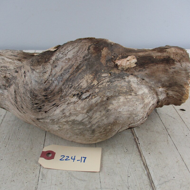 Burl Root - Etsy