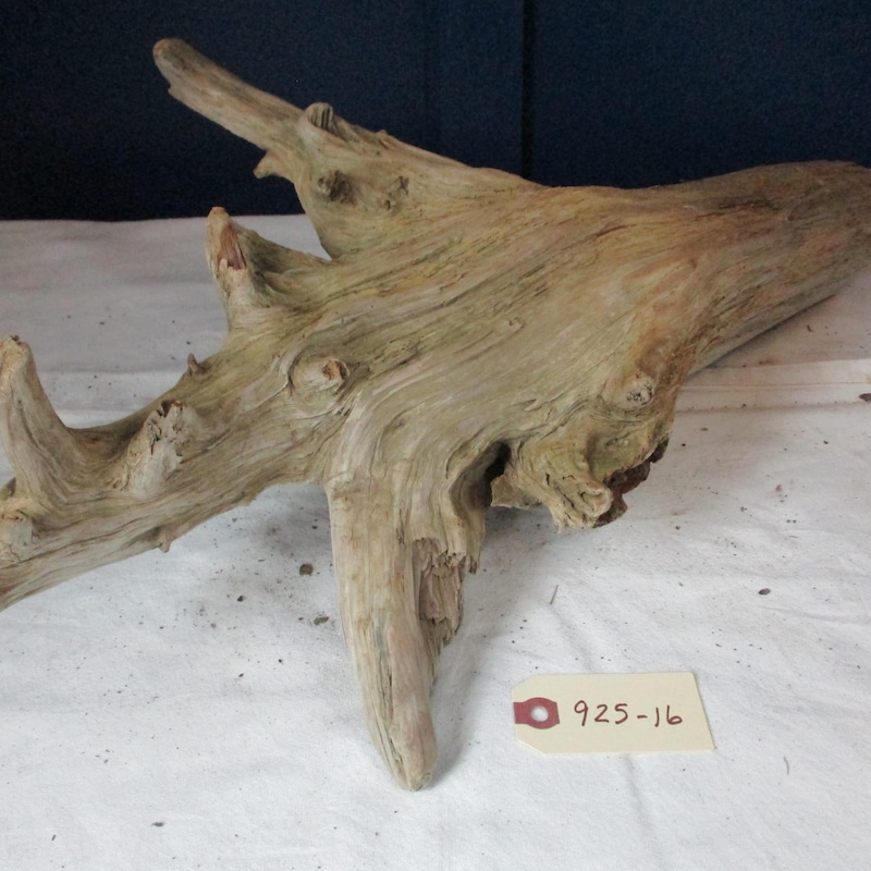 Gnarly Driftwood Branch - Etsy