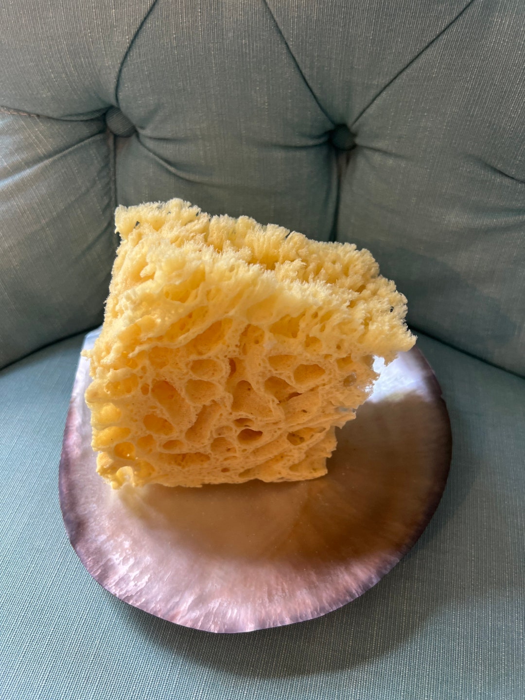 Sea Sponge, Natural Sponge, Real, Fibers, Beautiful Large Sponge - Etsy