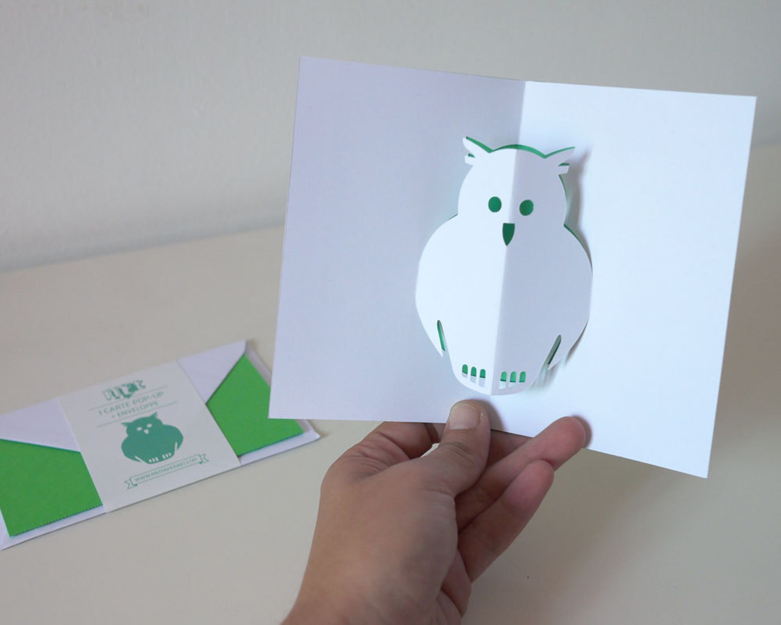 Pop-up Card // Owl Fresh Green // Creative Stationery, Everyday Gift ...