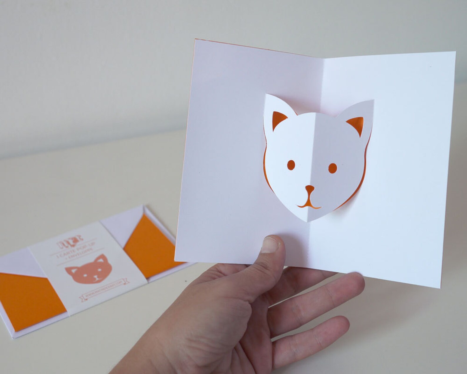 Pop-up Card // Cat Orange // Creative Stationery, Everyday Gift Card ...