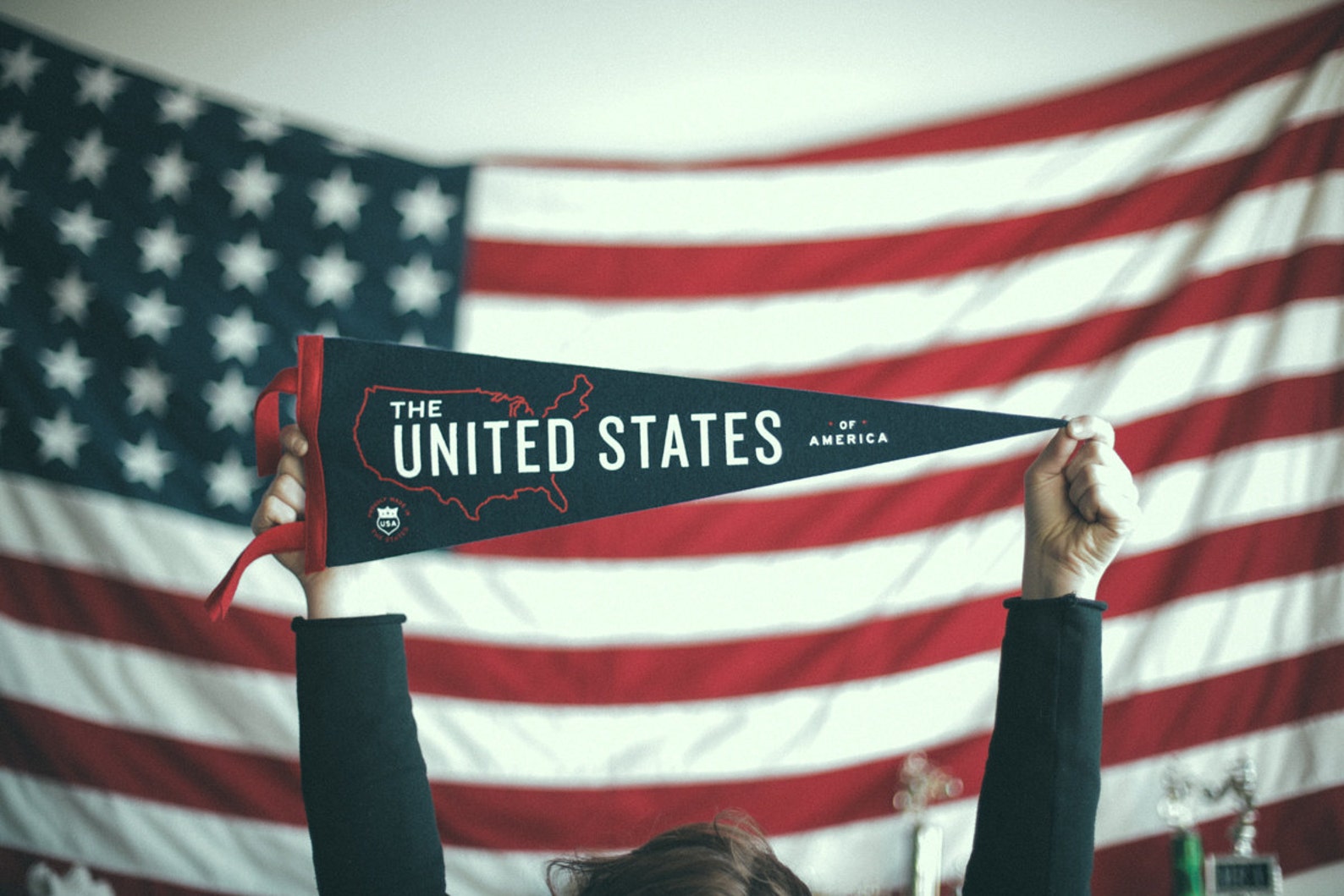 United States of America Pennant Flag USA | Etsy