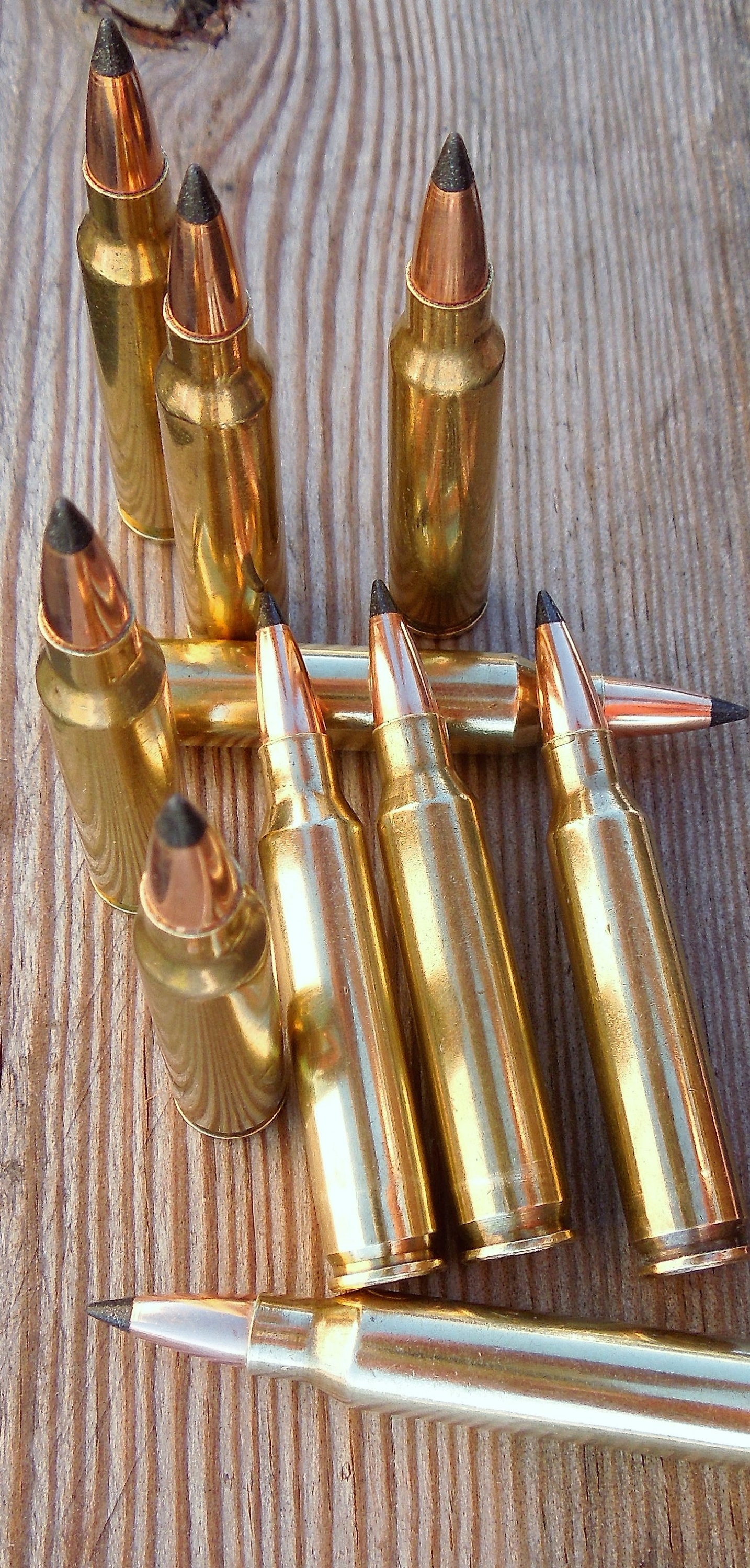 Dummy rifle bullets/Replica/Dummy .223 Remington/ 5.56mm | Etsy