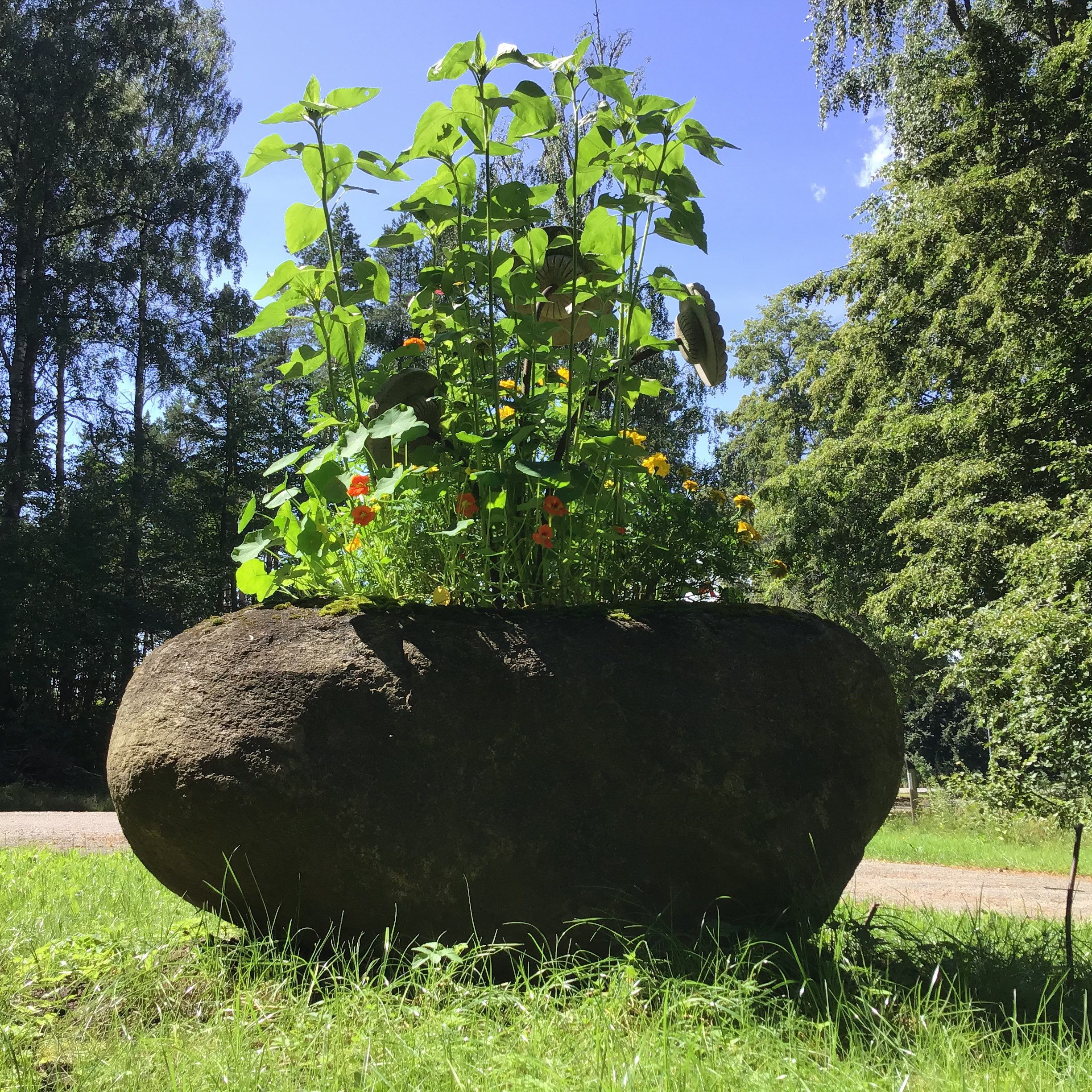Flower Pot, Natural Granite Boulder, Big Size Stone Sculpture ...